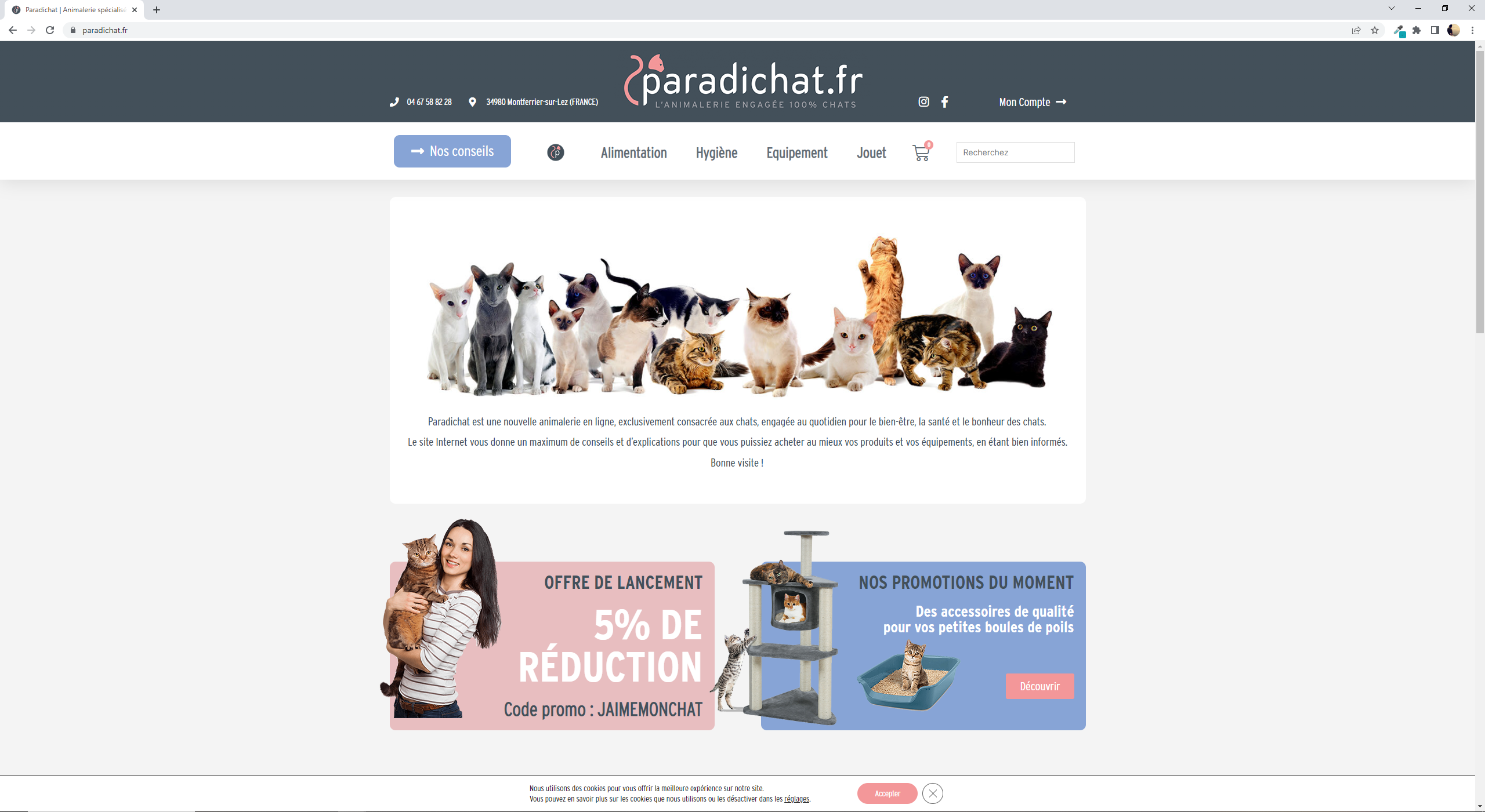 PortFolio de Allali Bouirig Hassan | Développeur web